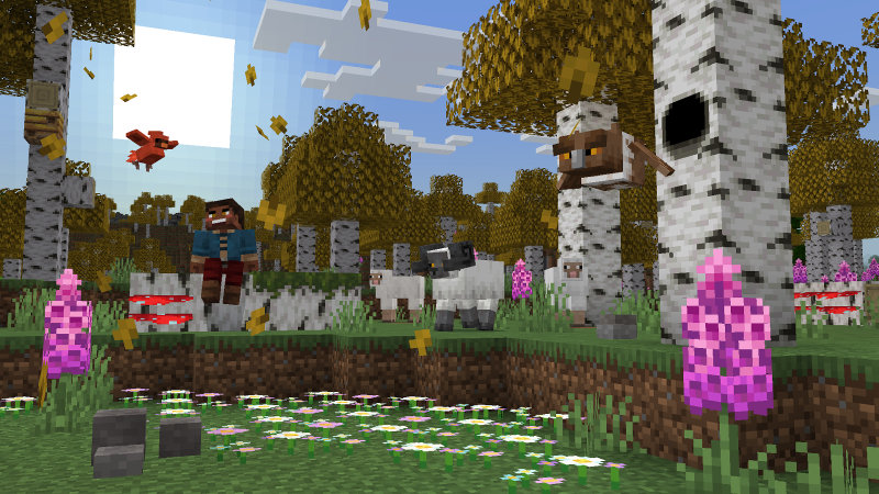 BiomeCraft Add-On by BLOCKLAB Studios | CHUNK - Minecraft Bedrock ...