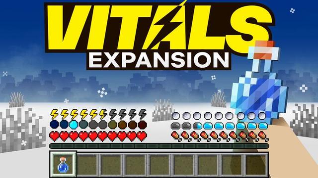 Vitals Expansion by Cubed Creations | CHUNK - Minecraft Bedrock ... Vitals Expansion by Cubed Creations | CHUNK - Minecraft Bedrock ...