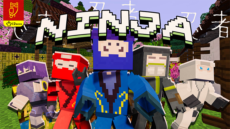 Ninja by DeliSoft Studios | CHUNK - Minecraft Bedrock Marketplace Explorer