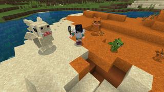 Dragon World by Entity Builds | Chunk - Minecraft Bedrock Marketplace Explorer