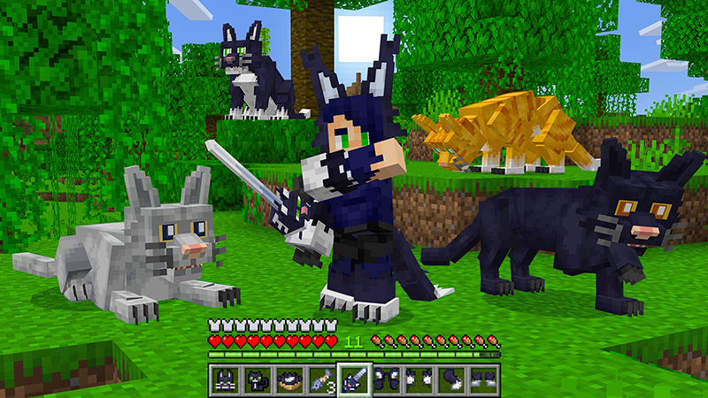 Fur Craft Add-On by Float Studios | CHUNK - Minecraft Bedrock ...