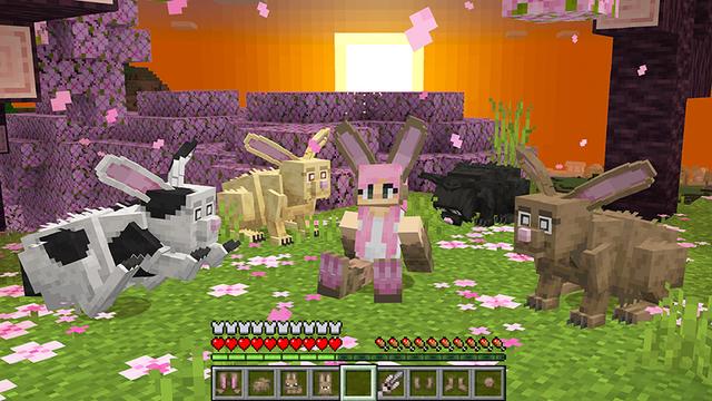 Fur Craft Add-On by Float Studios | CHUNK - Minecraft Bedrock ...