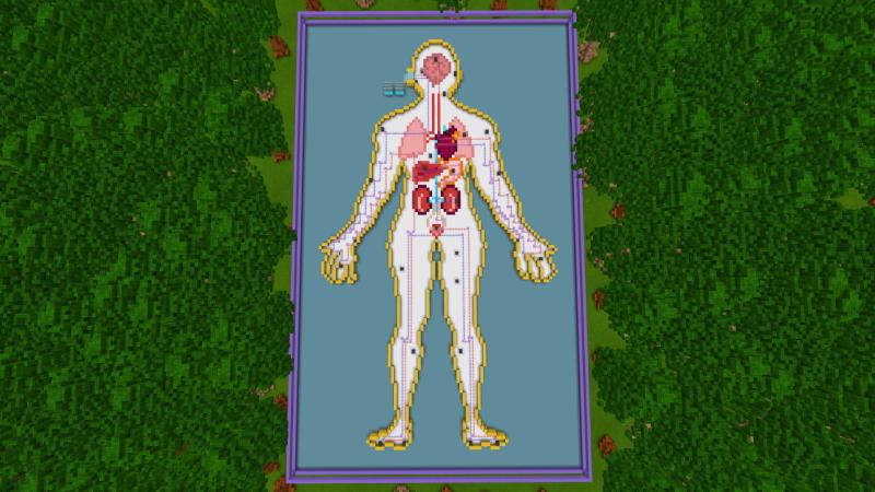 The Human Body by GoE-Craft | CHUNK - Minecraft Bedrock Marketplace ...