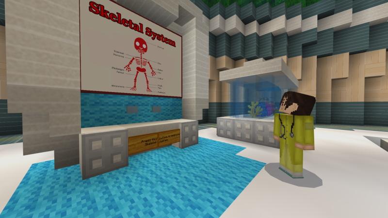 The Human Body by GoE-Craft | CHUNK - Minecraft Bedrock Marketplace ...