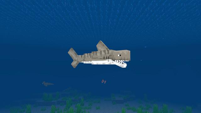 Ocean Expansion Add-On by Hourglass Studios | CHUNK - Minecraft Bedrock ...