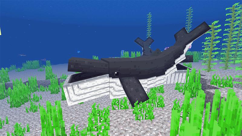 Ocean Expansion Add-On by Hourglass Studios | CHUNK - Minecraft Bedrock ...
