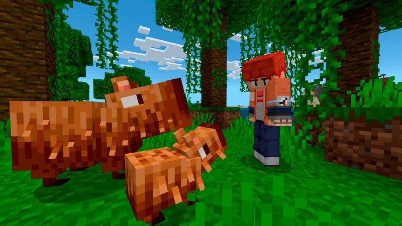 Biome Pets v1.2 Add-On by Logdotzip | CHUNK - Minecraft Bedrock ...