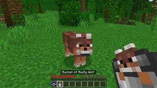 Buckets+ Add-On by MelonBP | CHUNK - Minecraft Bedrock Marketplace Explorer