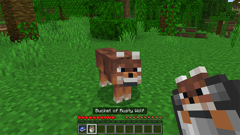 Buckets+ Add-On by MelonBP | CHUNK - Minecraft Bedrock Marketplace Explorer