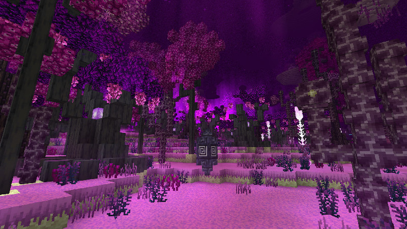 Beyond The End Add-On by Netherpixel | CHUNK - Minecraft Bedrock ...