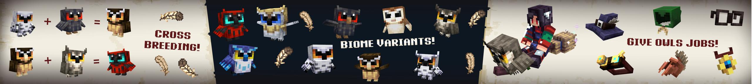 Owls Add-On by Noxcrew | CHUNK - Minecraft Bedrock Marketplace Explorer