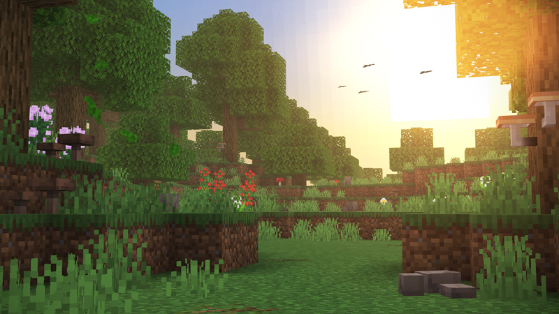 REALISM+ Add-On by Square Dreams | CHUNK - Minecraft Bedrock ...