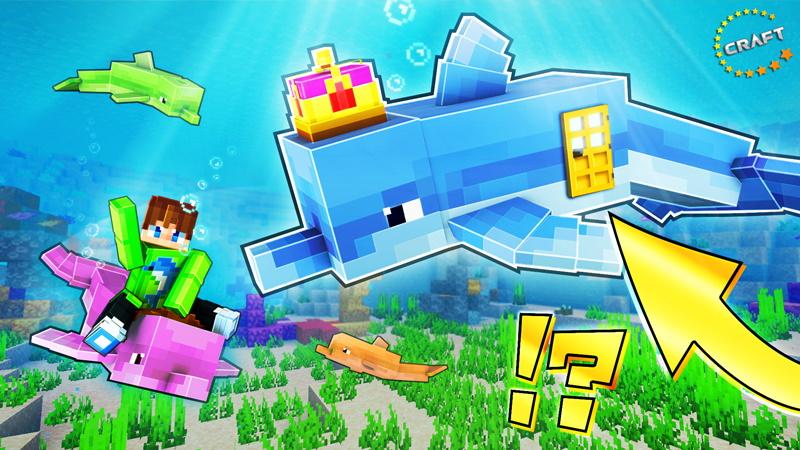 How to Live Inside a Dolphin? by The Craft Stars | CHUNK - Minecraft ...