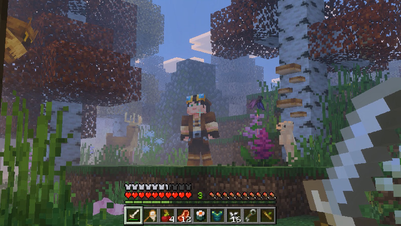 Vanilla Biomes+ Add-On by ThunderAy | CHUNK - Minecraft Bedrock ...