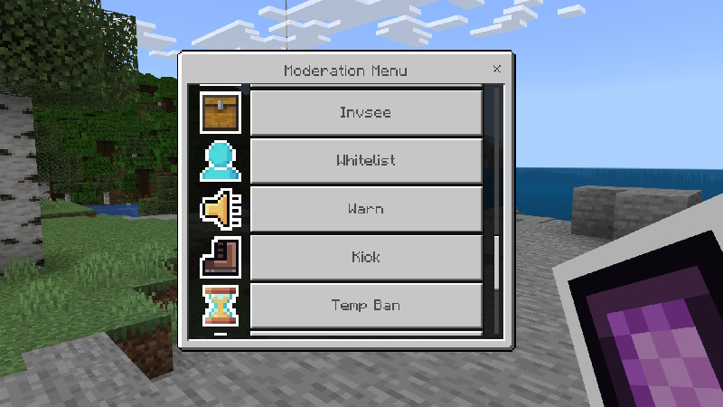 Realm Management Tool - V1.4 by Tomhmagic Creations | CHUNK - Minecraft Bedrock Marketplace Explorer